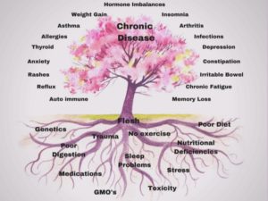 AFHWellness - Advanced Functional Health & Wellness